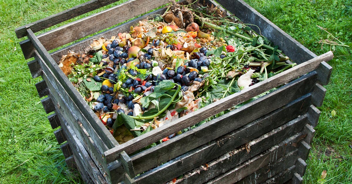Your Backyard Composting Guide Your Backyard Composting Guide
